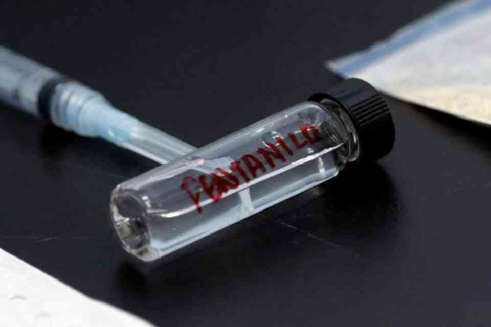 Informazioni e schede: la lotta al Fentanyl comincia a scuola