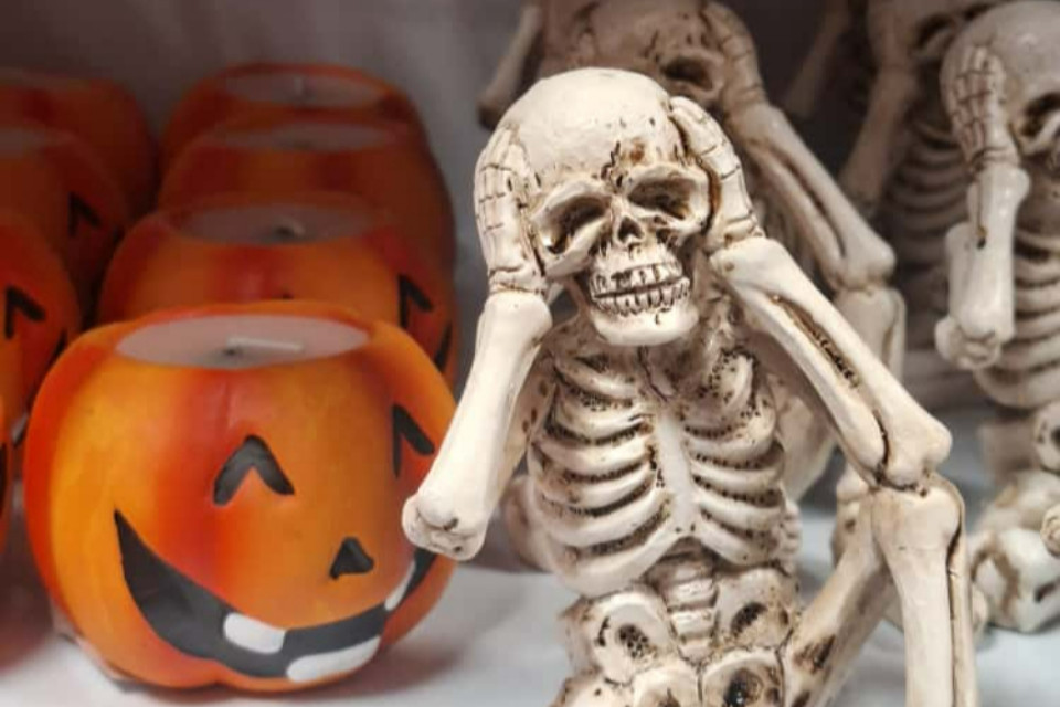 Torna “Sofia”, la newsletter per tutta la famiglia